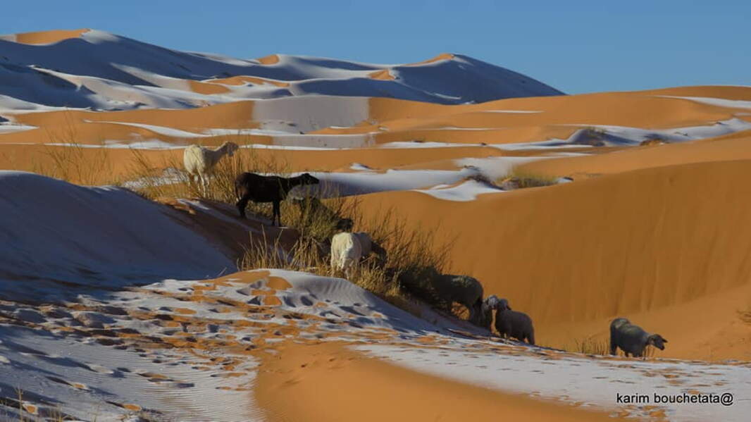 Algérie : des splendides photos de neige dans le désert du Sahara - GEO