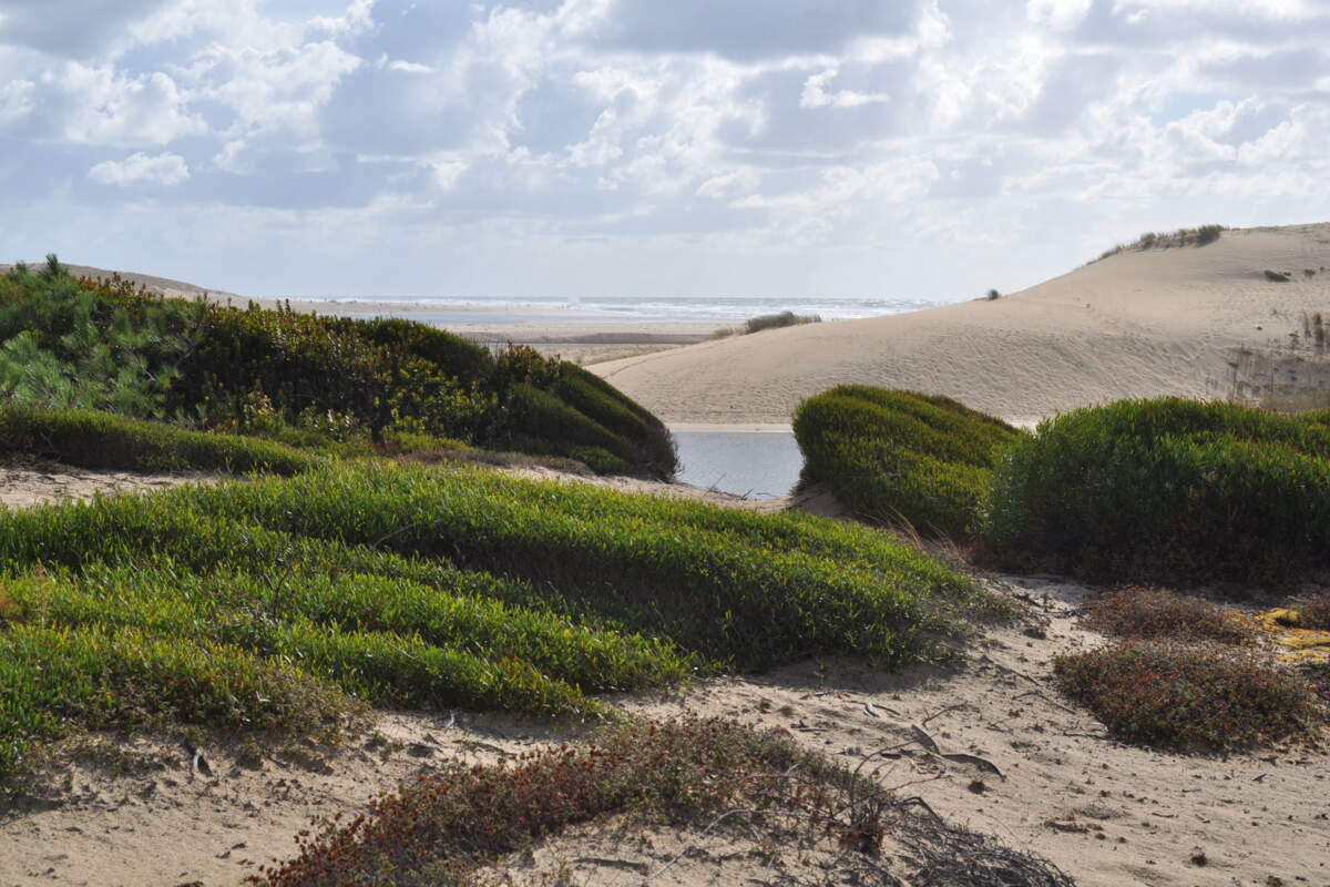 Les 12 plus beaux endroits des Landes - GEO