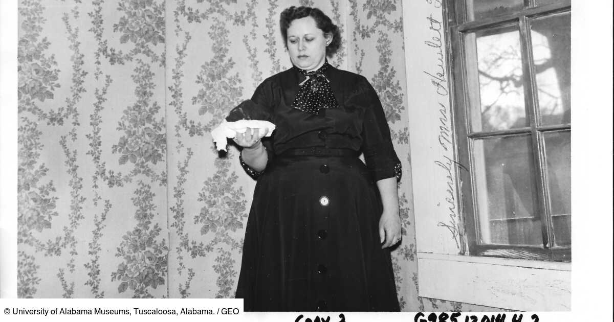 L'histoire d'Ann Elizabeth Hodges, la première femme au monde percutée ...