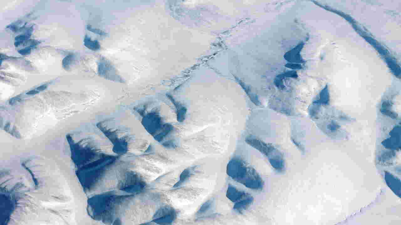 Une espèce animale revient à la vie après 24 000 ans dans le permafrost ...