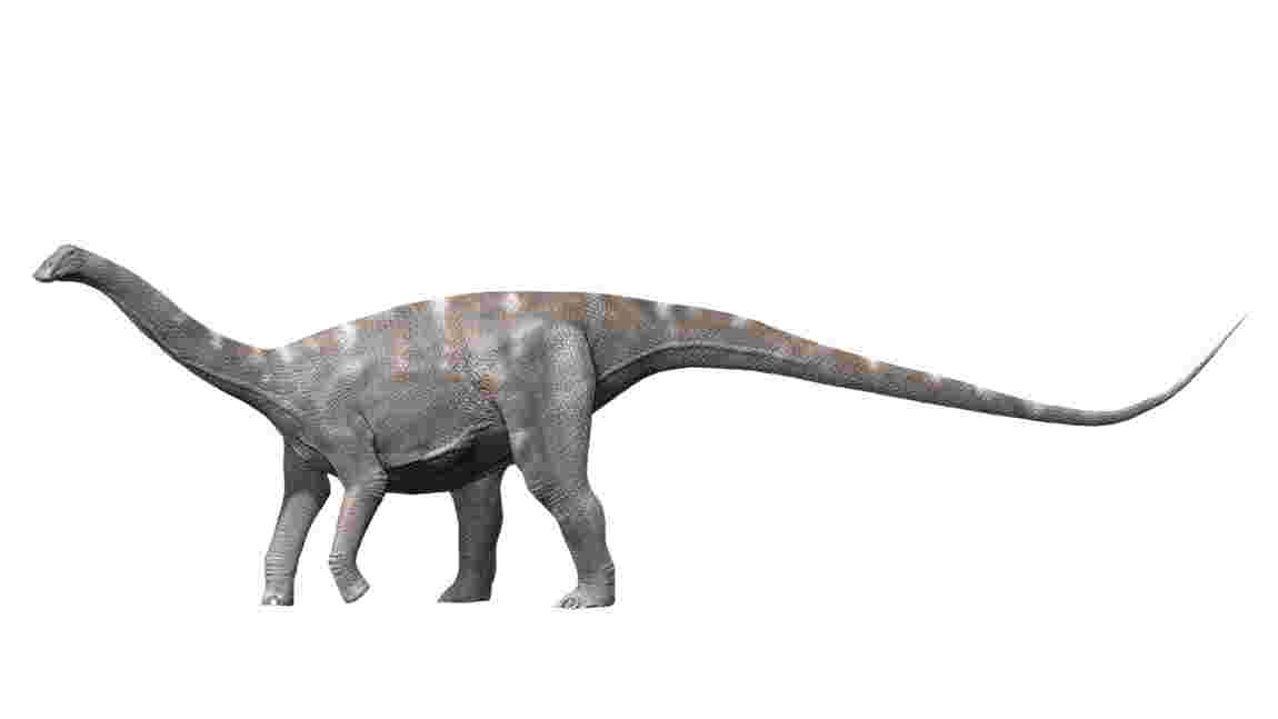 Nigersaurus taqueti : qui était le dinosaure aux 500 dents ? - Geo.fr