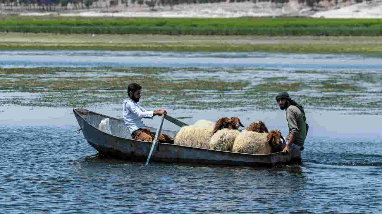 Syrie: sécheresse et géopolitique menacent les riverains de l'Euphrate ...