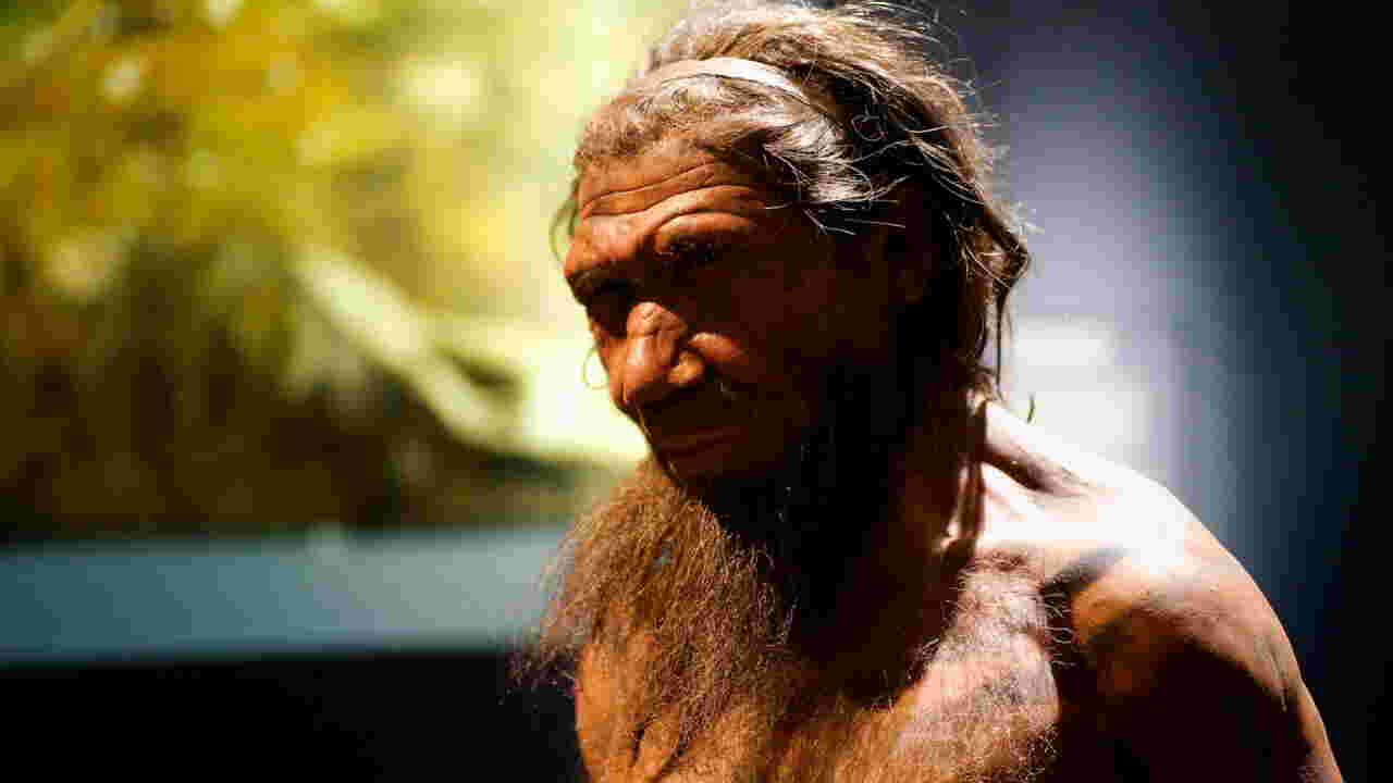 Des scientifiques se sont mis dans la peau de Néandertaliens pour ...