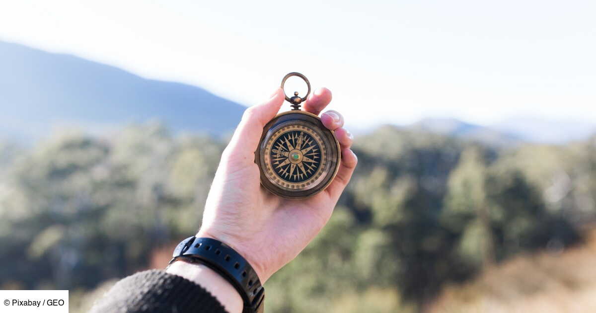 Comment apprendre à bien s'orienter en pleine nature ? - Geo.fr