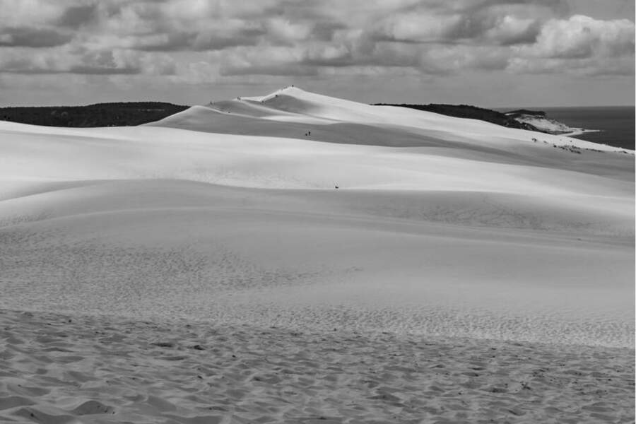 "La nature en noir et blanc" : les plus belles photos de la Communauté ...