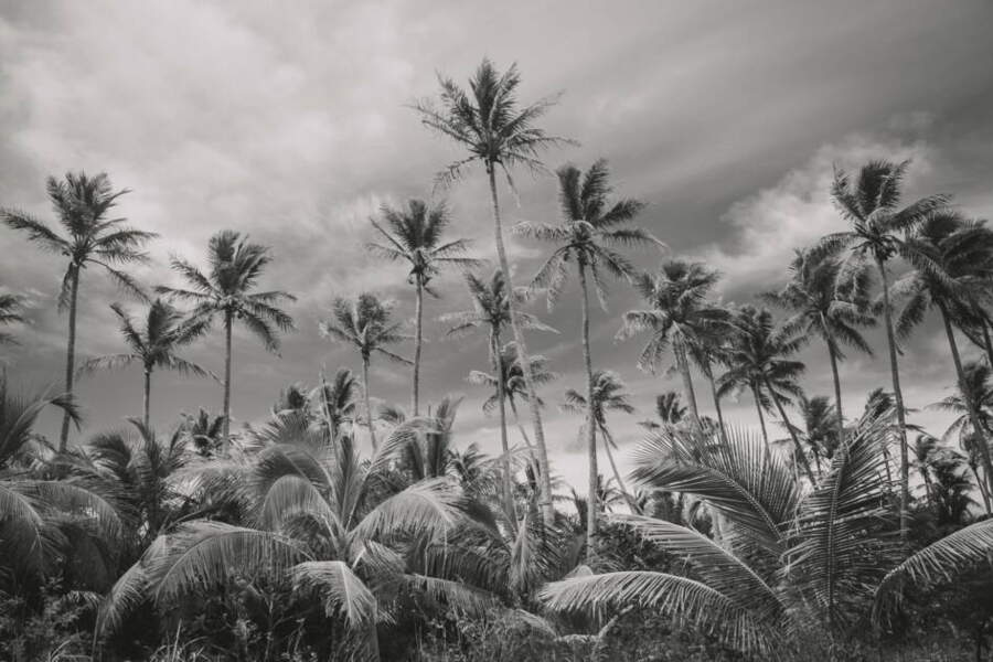 "La nature en noir et blanc" : les plus belles photos de la Communauté ...