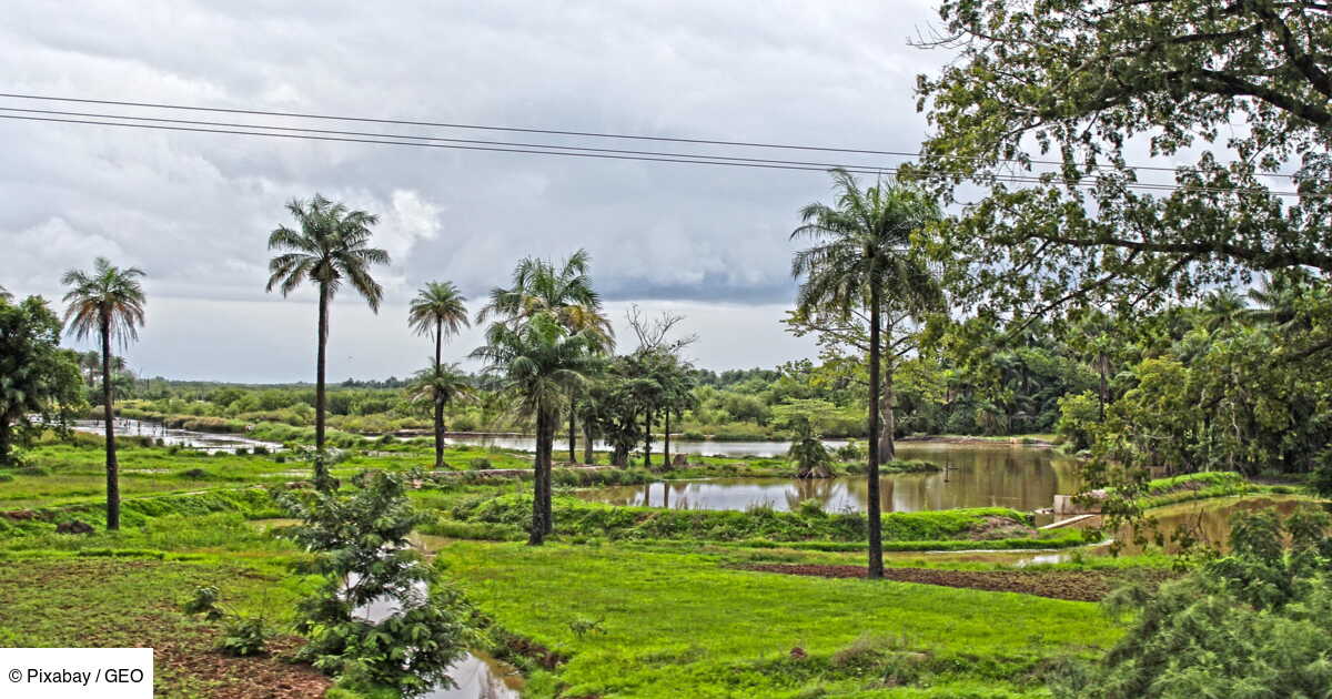 Cinq informations à connaître sur la Gambie - Geo.fr