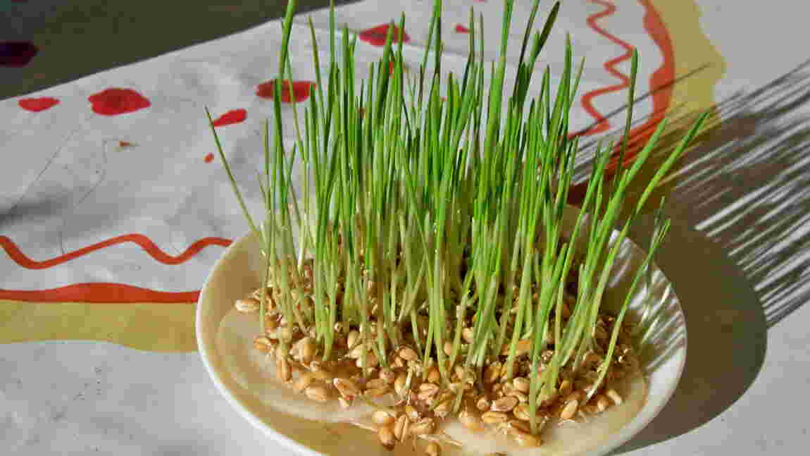 Qu'est-ce que la fête de la Sainte-Barbe ? - Geo.fr