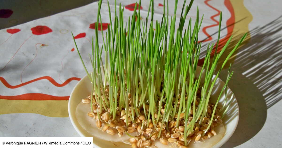 Qu'est-ce que la fête de la Sainte-Barbe ? - Geo.fr