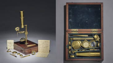 Charles Darwin : qu'est-ce que la théorie de l'évolution ? - Geo.fr