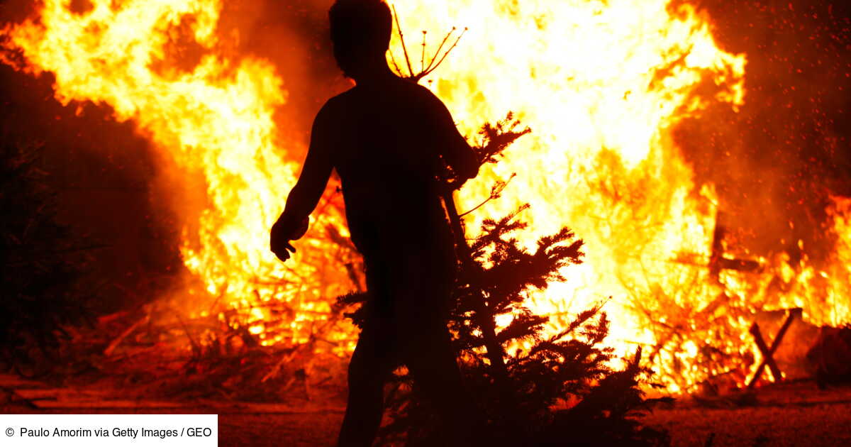 Pourquoi les Néerlandais mettent le feu à leur sapin de Noël après le ...
