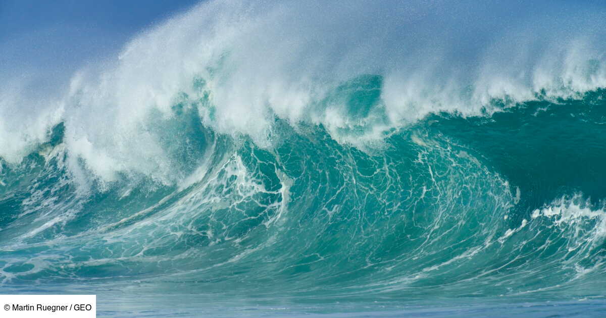 Qu'est-ce qu'une vague scélérate, ce phénomène extrême récemment ...
