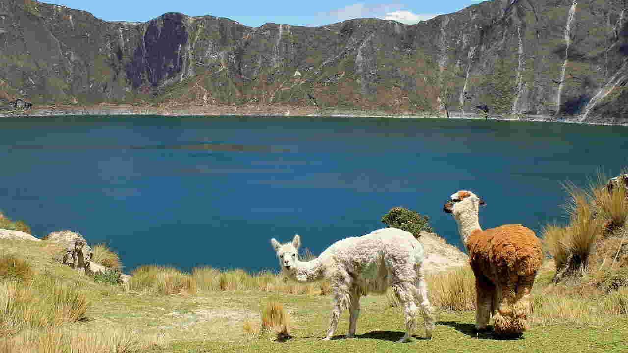 Les 10 choses à faire en Equateur - Geo.fr