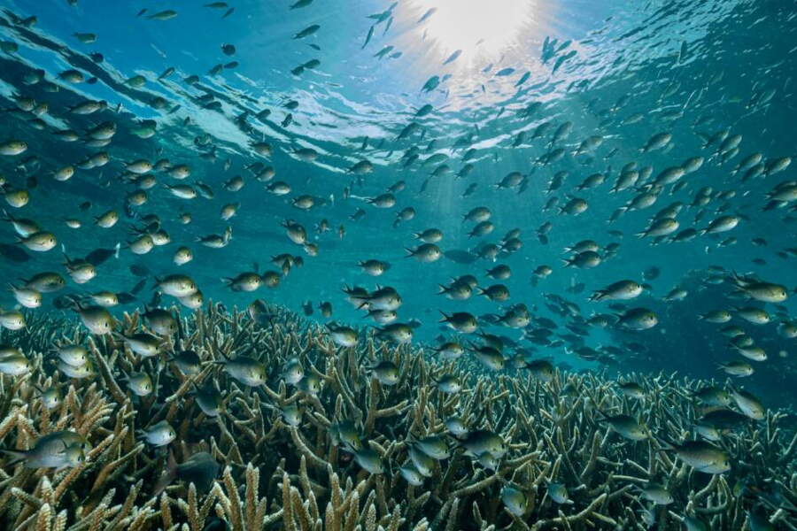 Les plus belles photos du lagon de Mayotte par la Communauté GEO - GEO