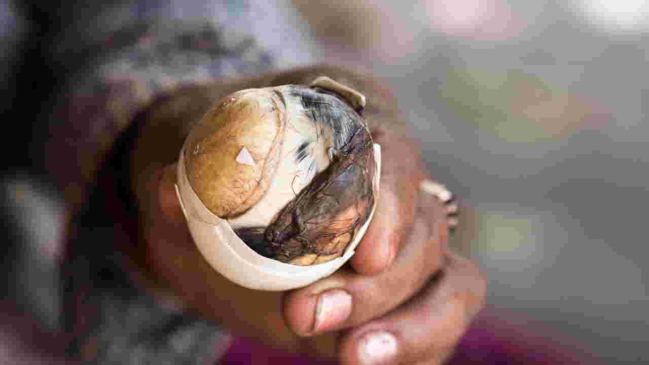 Les aliments les plus étranges, voire dangereux, à travers le monde ...