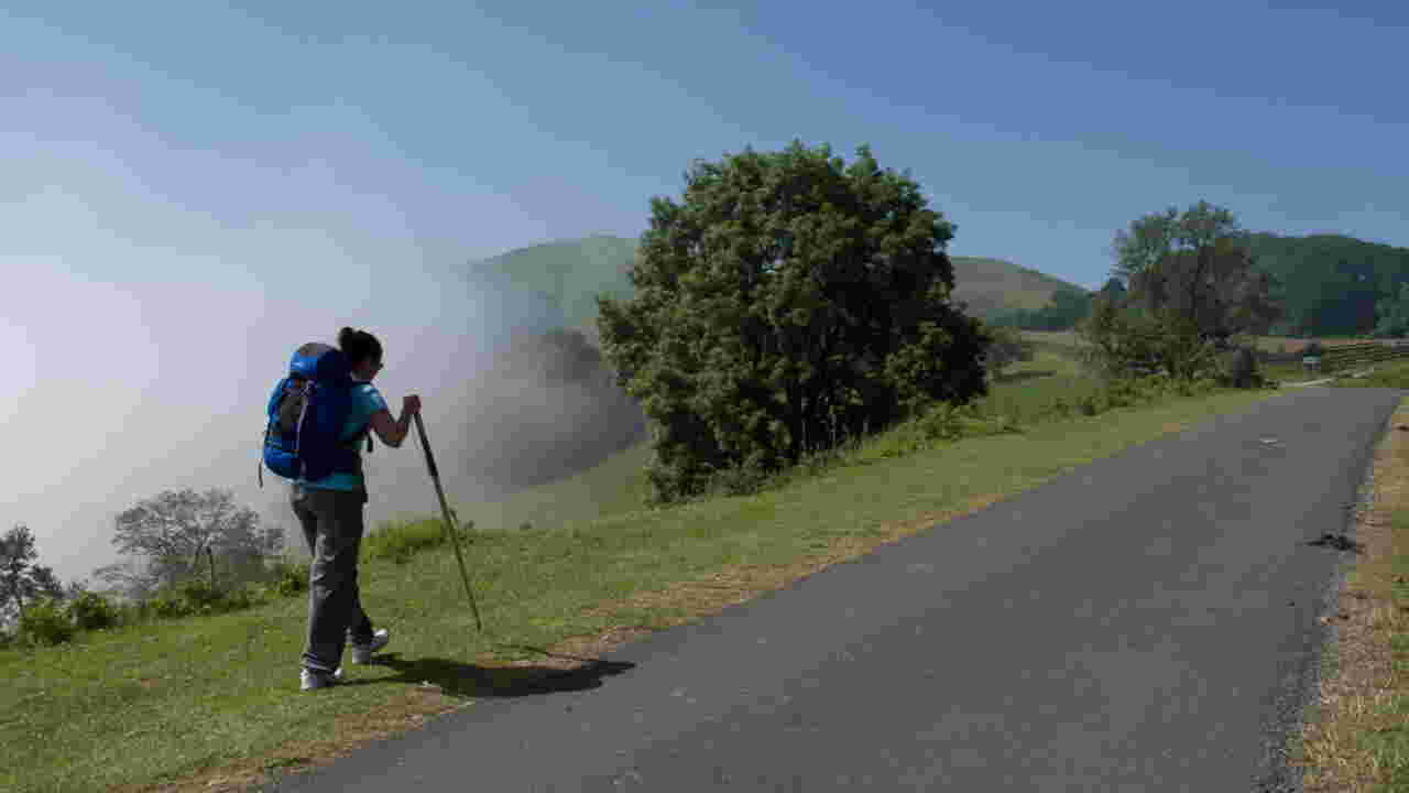 Chemins de Compostelle : qui sont les marcheurs en France ? - Geo.fr