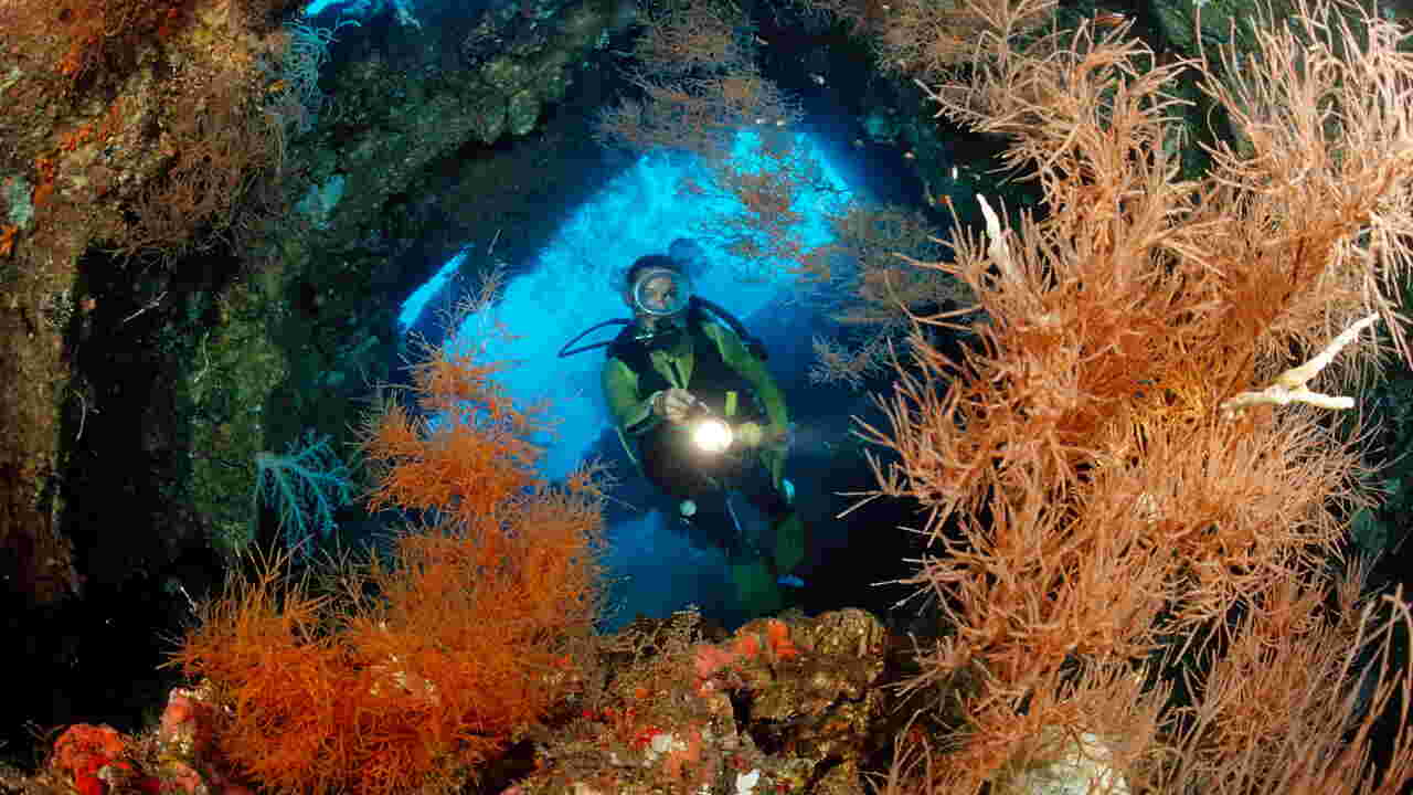 Les 9 épaves accessibles en plongée sous-marine à découvrir à travers ...