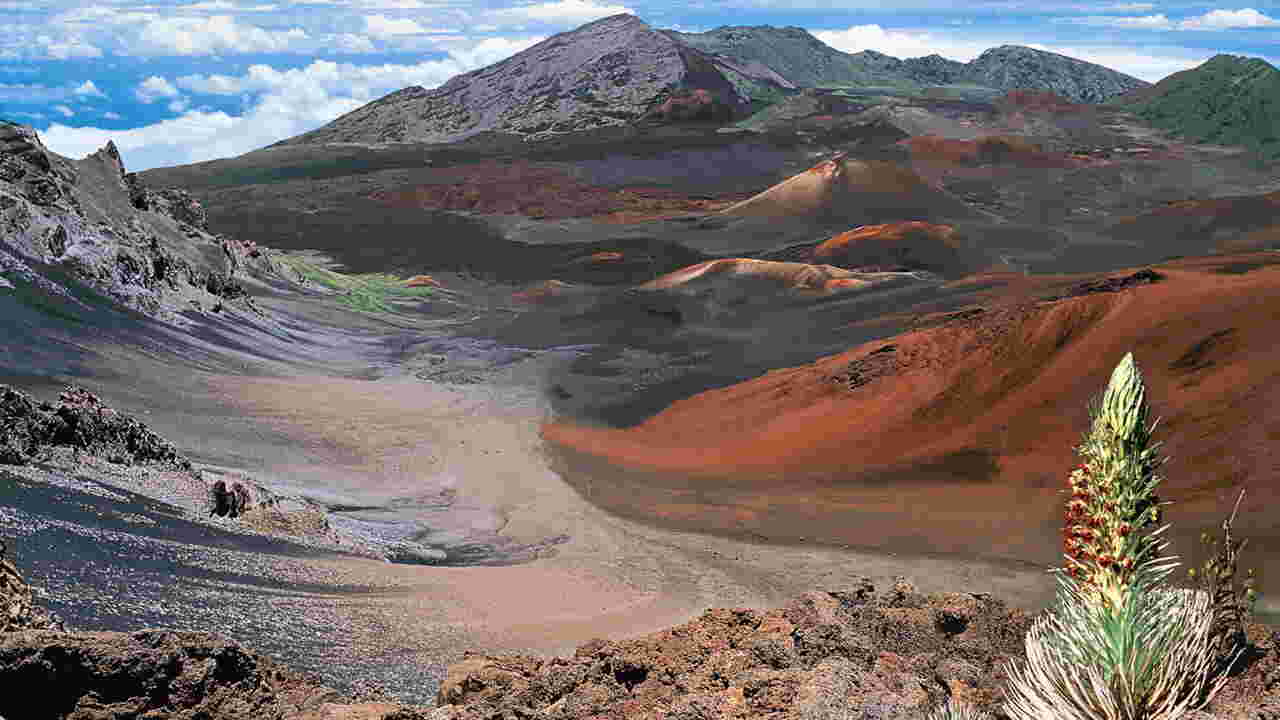 Pour le bioacousticien Gordon Hempton "le silence est en voie d ...