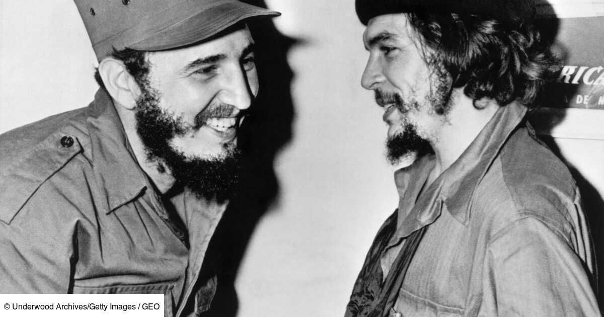 Tintin et les Picaros : les dictateurs d'opérette et joyeux guérilleros ...