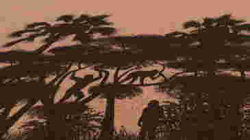 La fourmi légionnaire capable de dévorer des vertébrés a envahi l ...