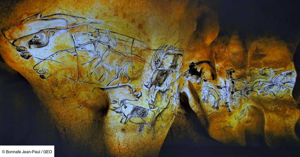 Grotte Chauvet : l'analyse d'excréments révèle la présence d'une louve ...