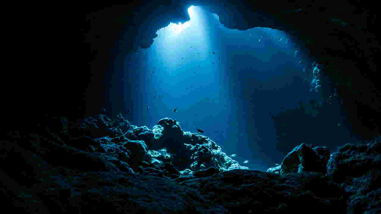 Abysses : découverte d'une surprenante nouvelle espèce de poisson dans ...