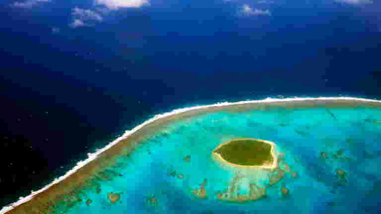 Qu'est-ce que la croûte océanique, face immergée de l’écorce terrestre ...