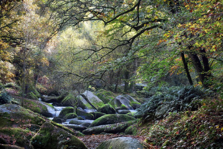 Gorges d'Enval, Bois Noirs, Roches des fées : une plongée dans les ...