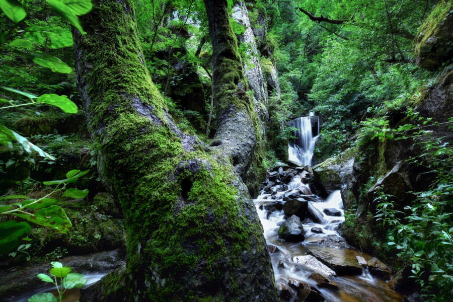 Gorges d'Enval, Bois Noirs, Roches des fées : une plongée dans les ...