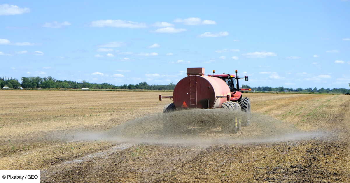 Un engrais à base d'urine humaine commercialisé pour la première fois ...
