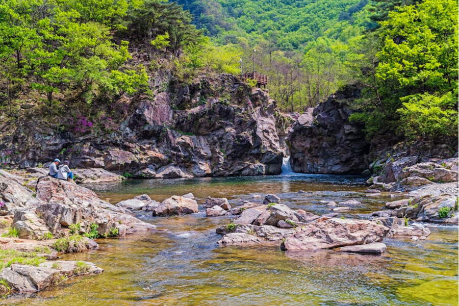 Google dévoile les merveilles naturelles de la zone démilitarisée en ...