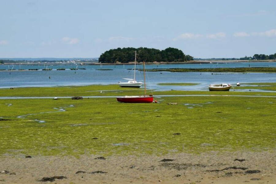 Les plus belles îles de Bretagne par la Communauté GEO - GEO
