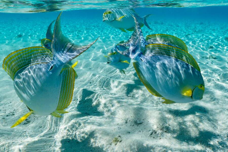 Les plus belles photos du lagon de Mayotte par la Communauté GEO - GEO