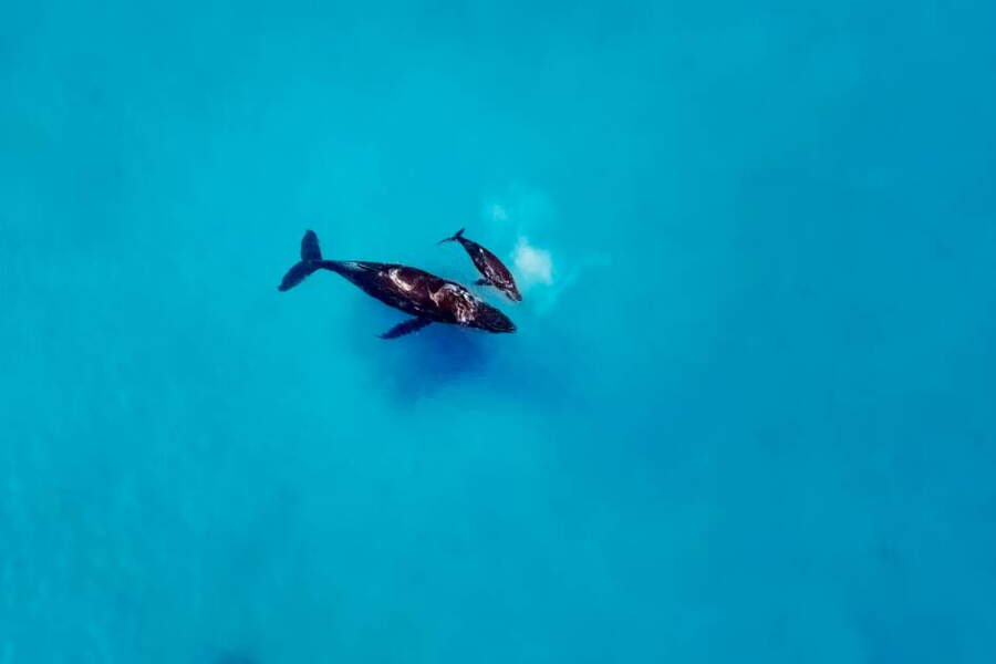 Les plus belles photos du lagon de Mayotte par la Communauté GEO - GEO