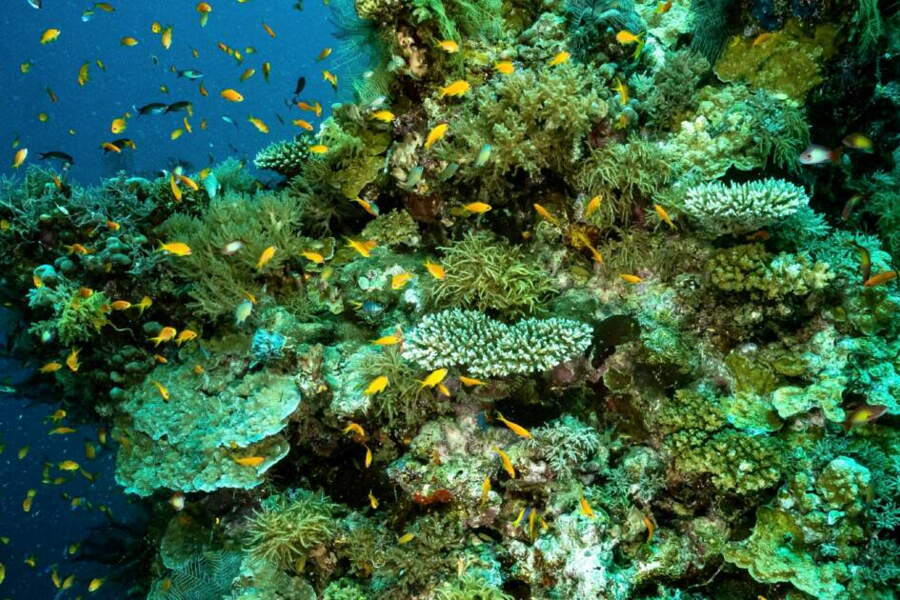 Les plus belles photos du lagon de Mayotte par la Communauté GEO - GEO