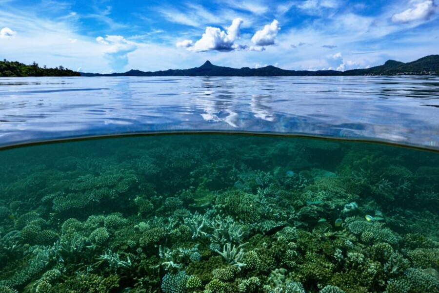 Les plus belles photos du lagon de Mayotte par la Communauté GEO - GEO