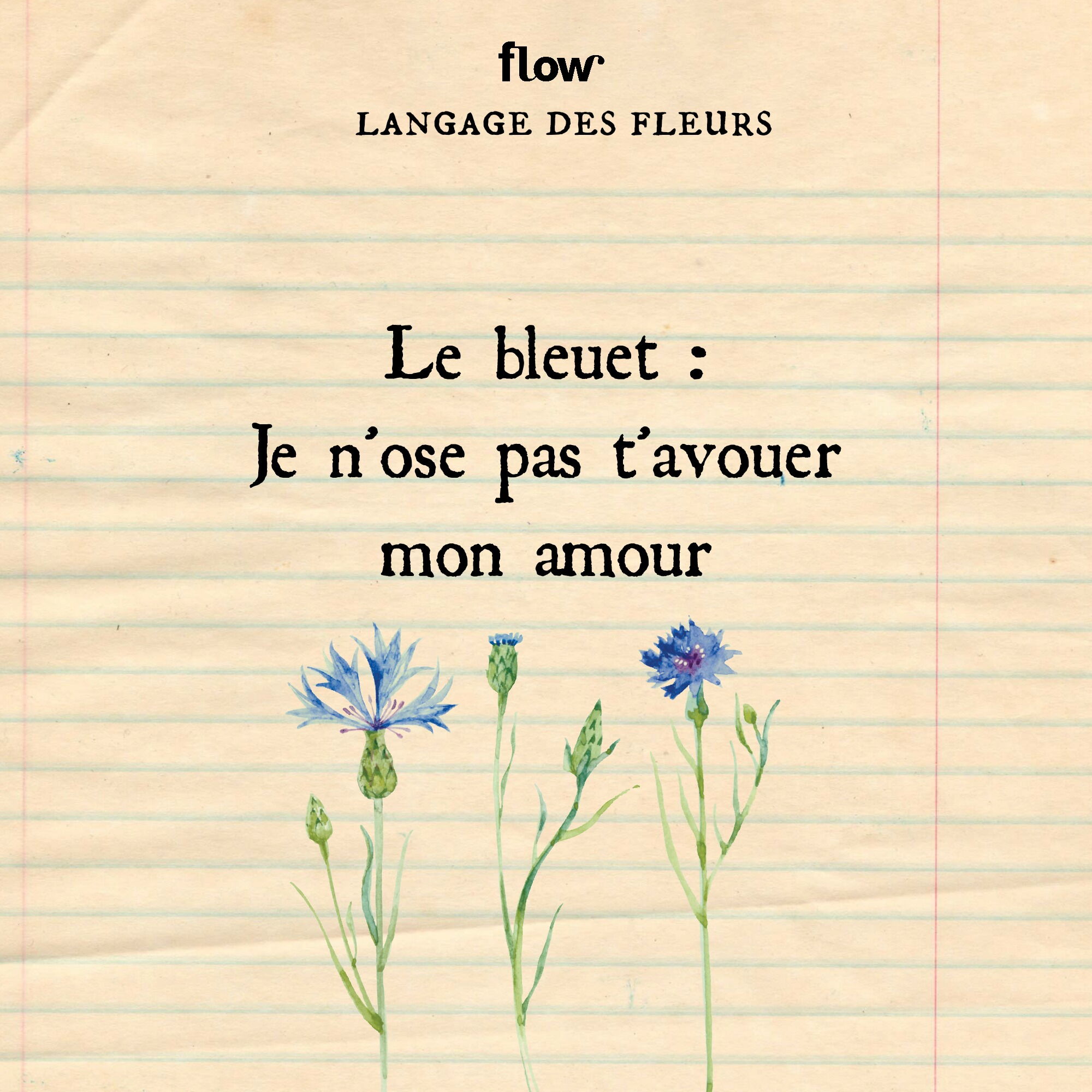 Langage des fleurs | Flow