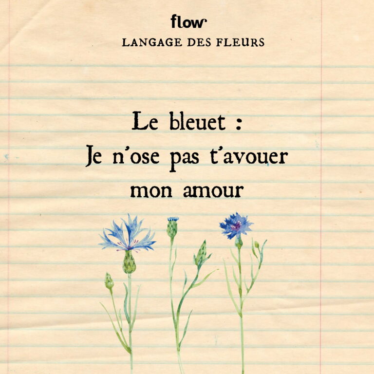 Langage des fleurs | Flow