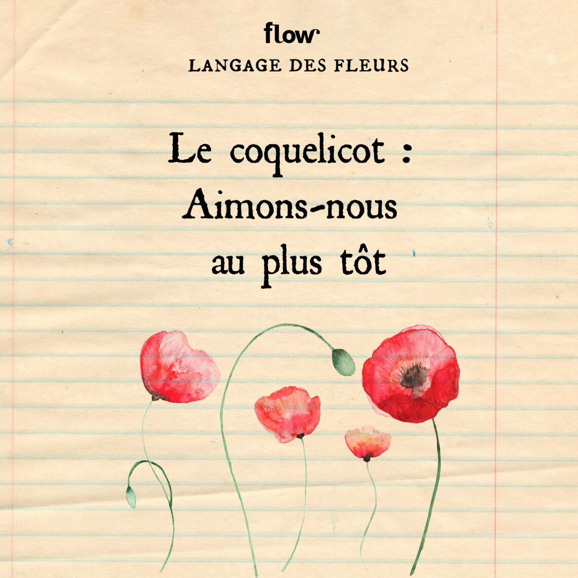 Langage des fleurs | Flow