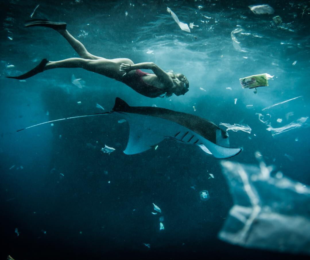 Seabin project | Flow