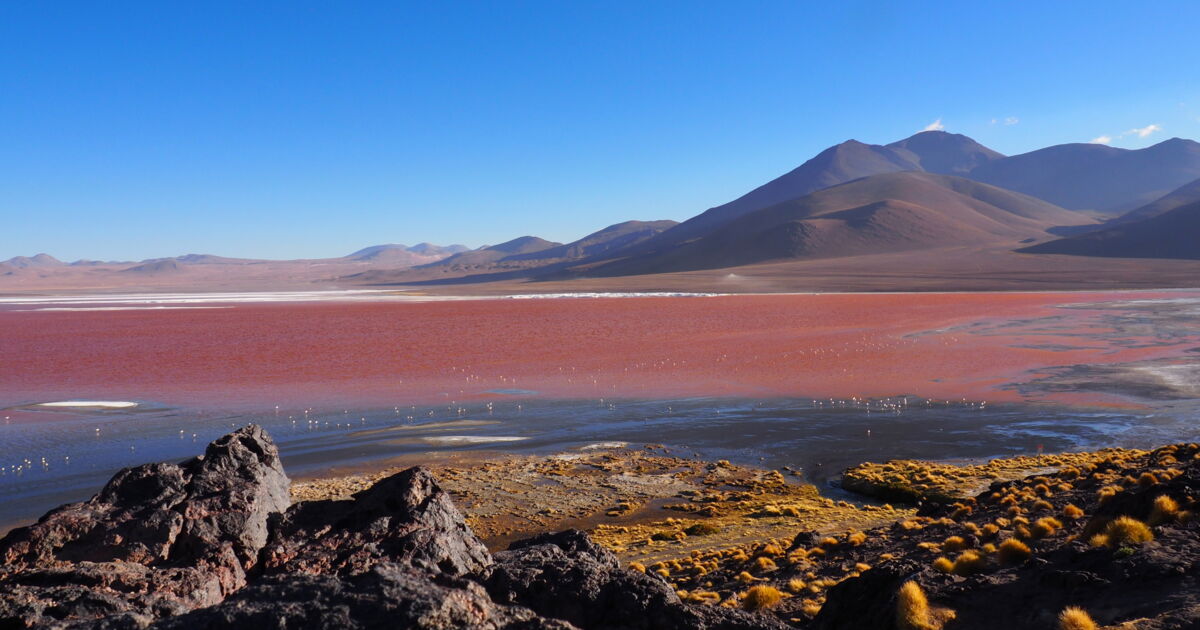 Laguna colorada, - Geo.fr