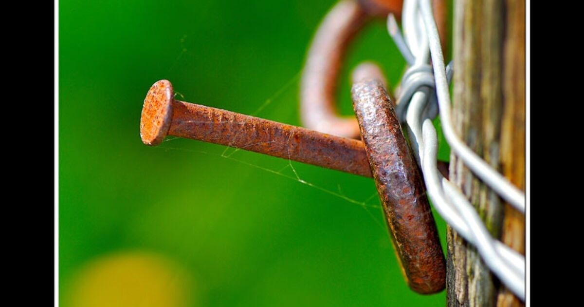 Le Clou, ©Philippe Sainte-Laudy/2007 - Geo.fr