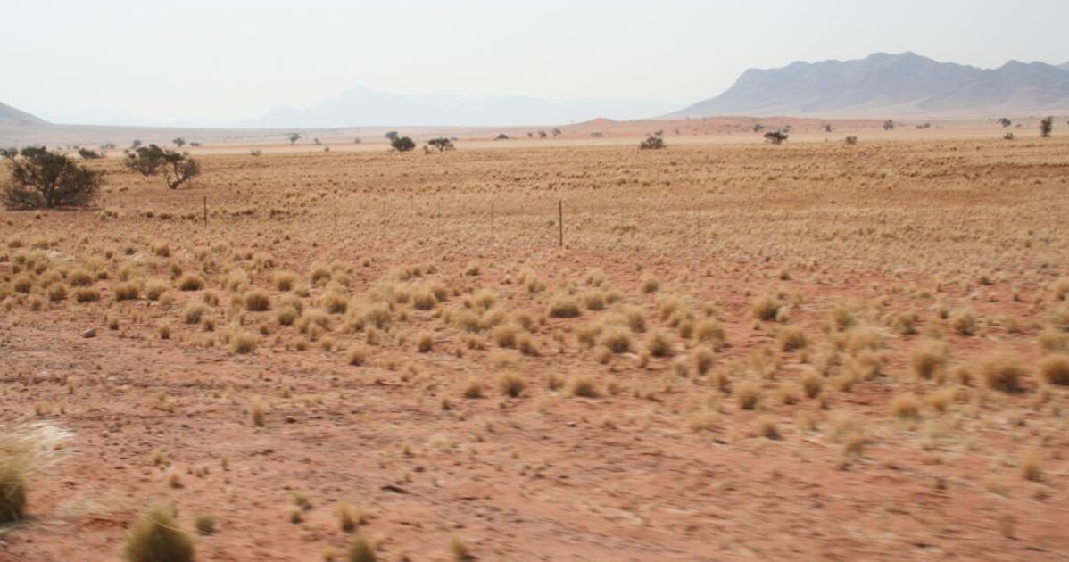 paysage de savane, - Geo.fr