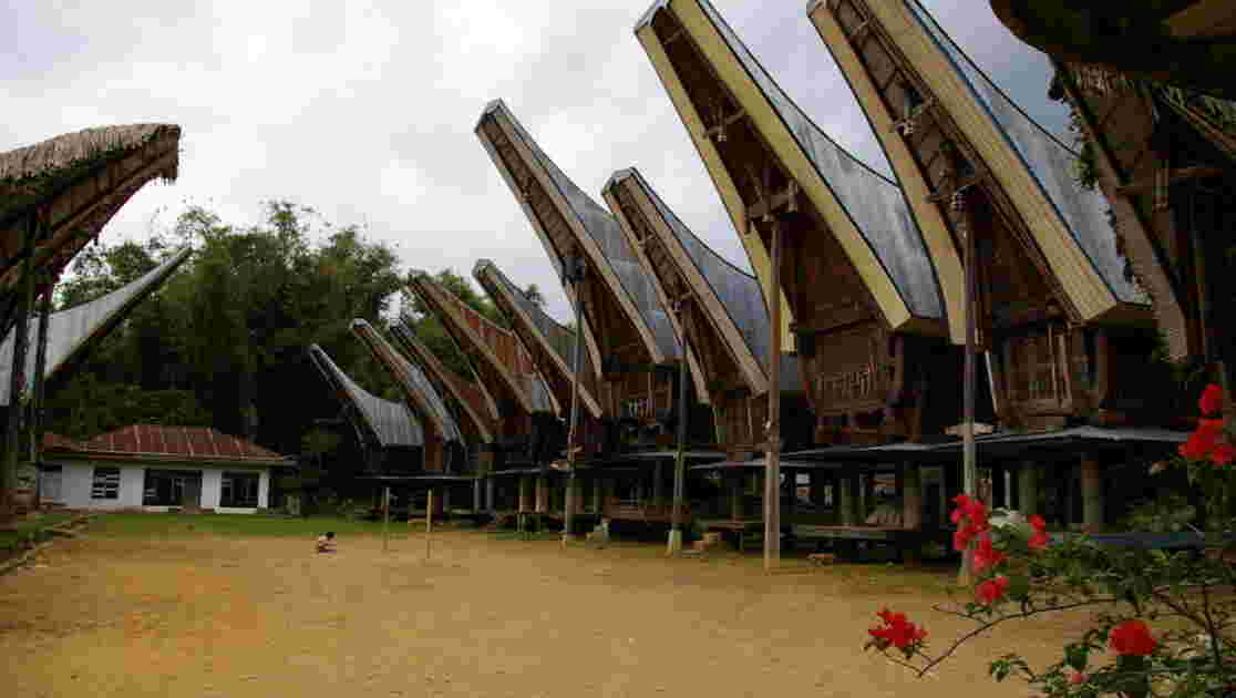Village toraja, Les maisons torajas sont appelées tongkonan... - Geo.fr
