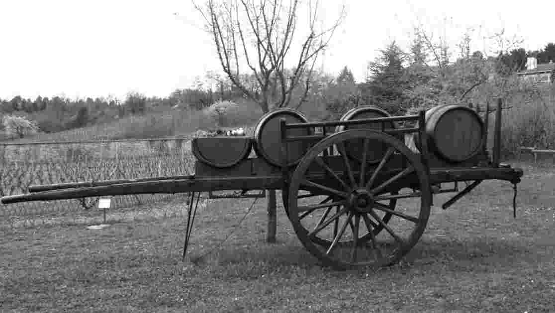 Mettre le Boeuf avant la Charrue, Labour traditionnel... - Geo.fr