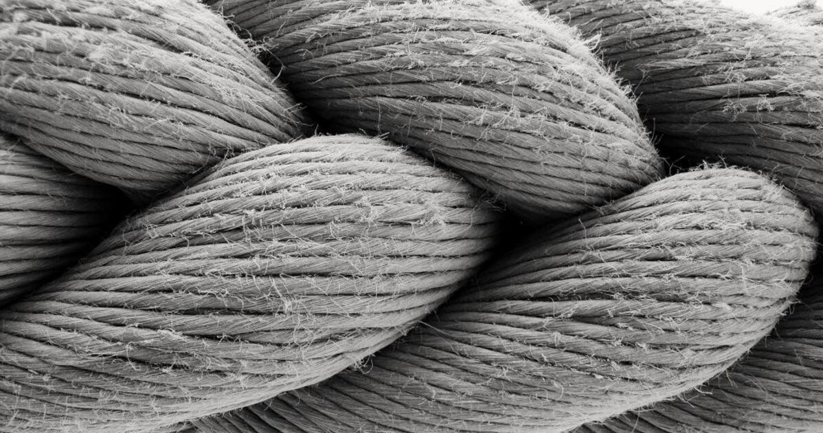 La théorie des cordes 5, - Geo.fr