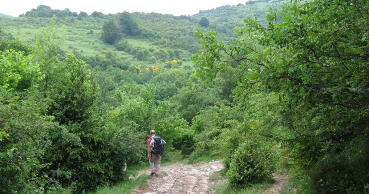 chemin rocailleux à travers la Navarre, - Geo.fr