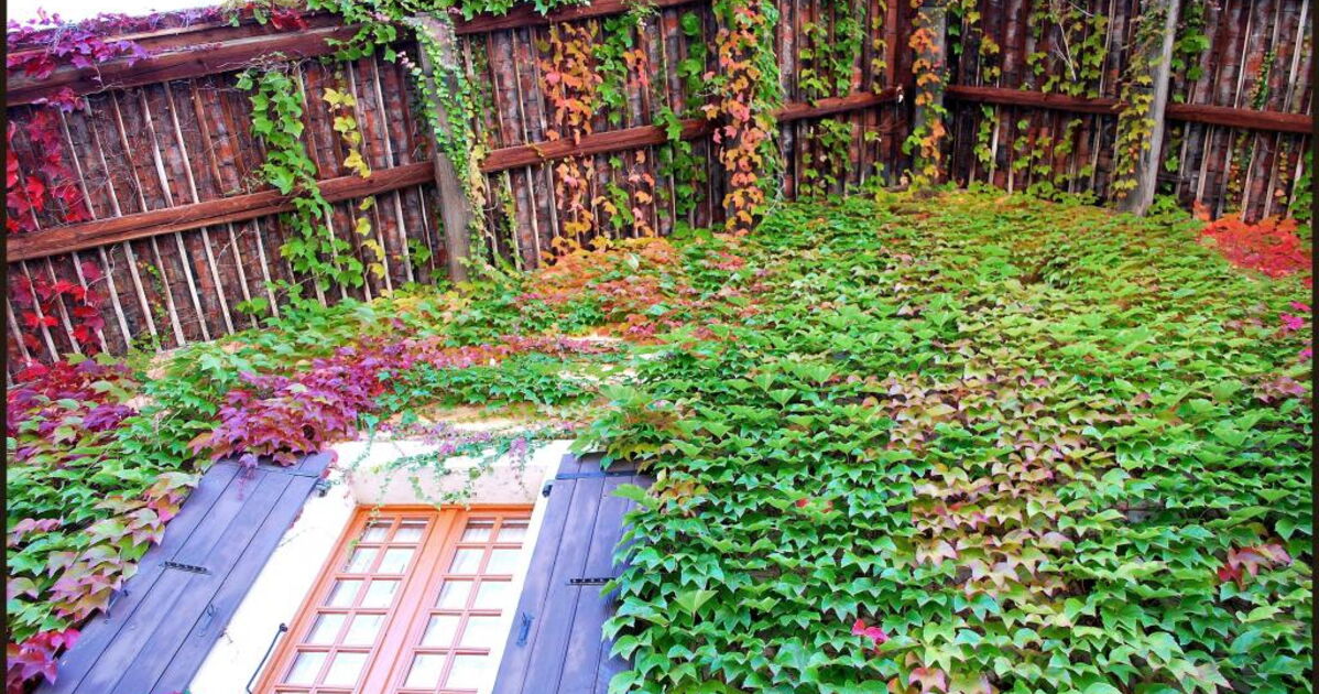 Une maison en automne......, - Geo.fr