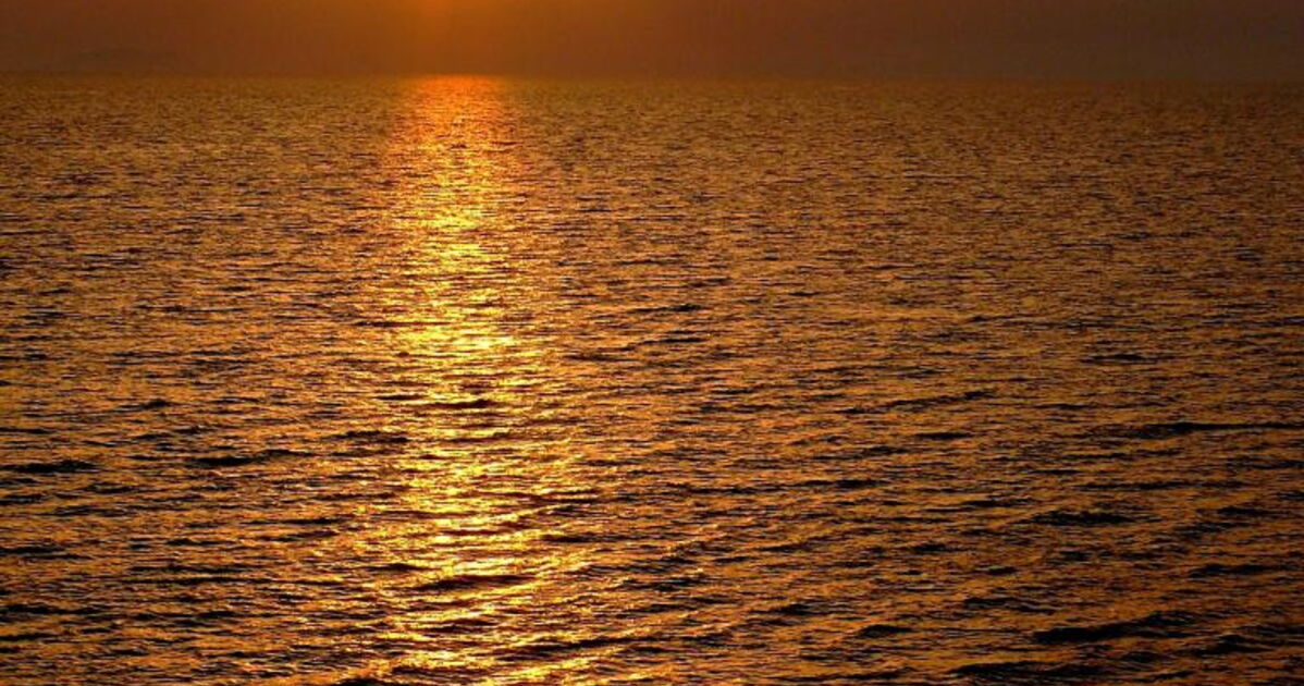 P1040514.JPG Une mer d'or, alchimiste? - Geo.fr