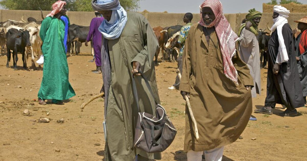 02-14 Gorom Gorom, des Peuls, marchands de bestia1 - Geo.fr